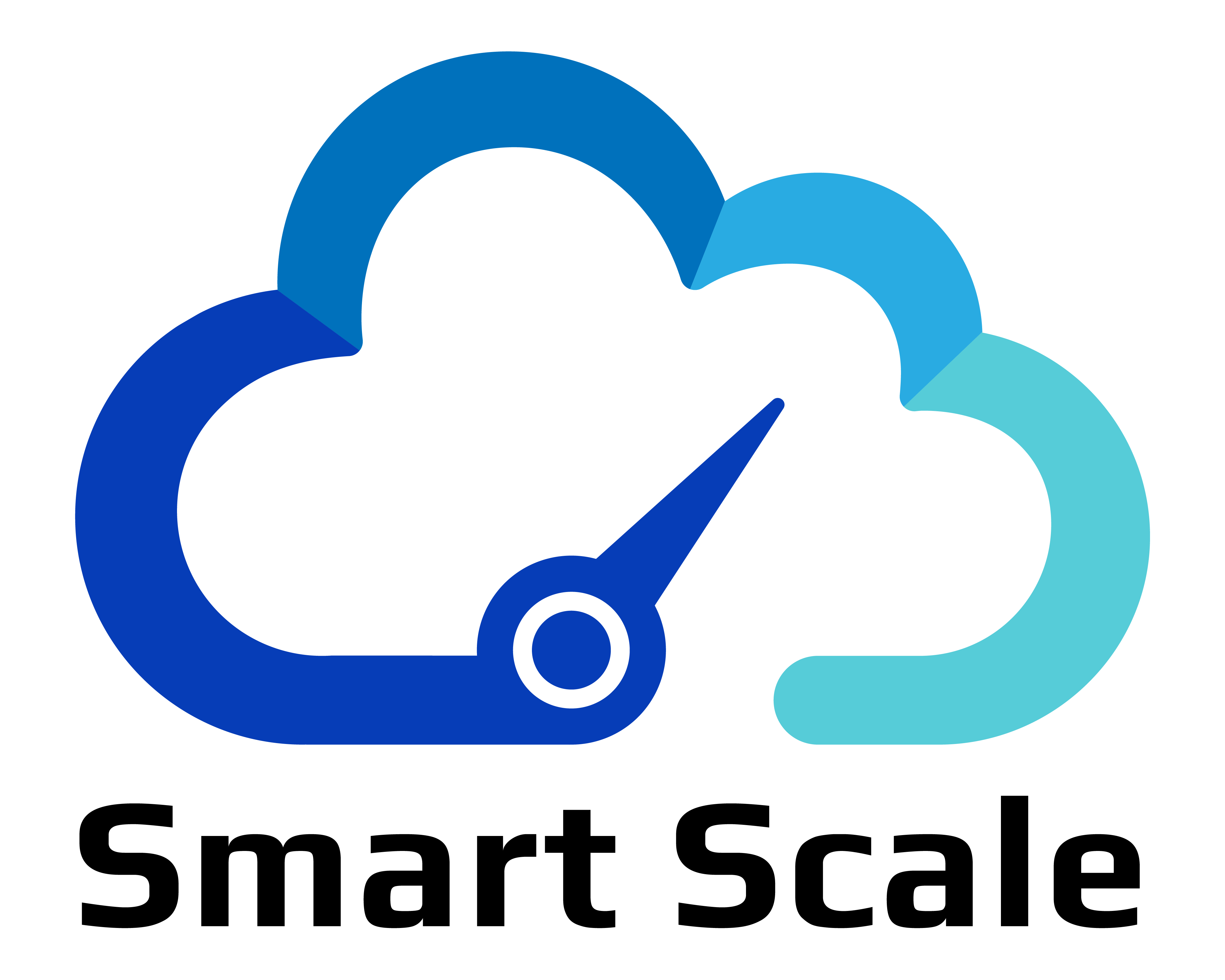 Smart Scale › Phần mềm Trạm cân xe thông minh chống thất thoát